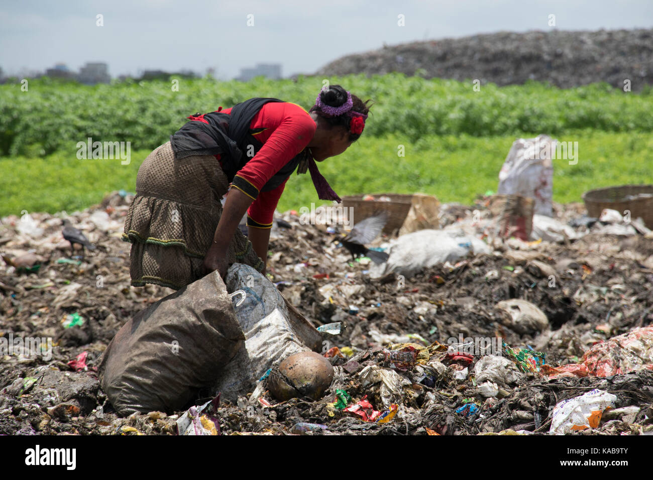 Life in garbage Stock Photo - Alamy