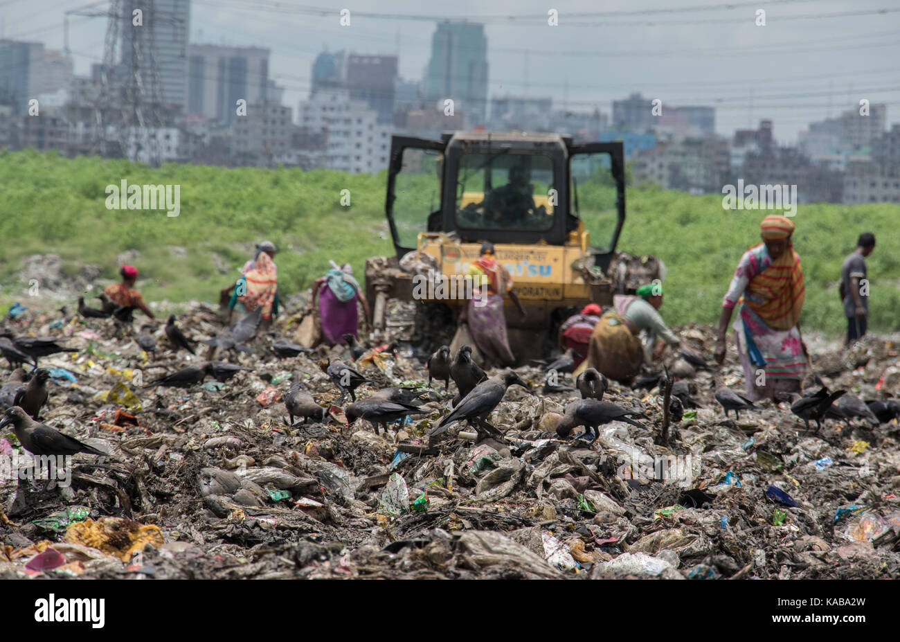 Life in garbage Stock Photo - Alamy