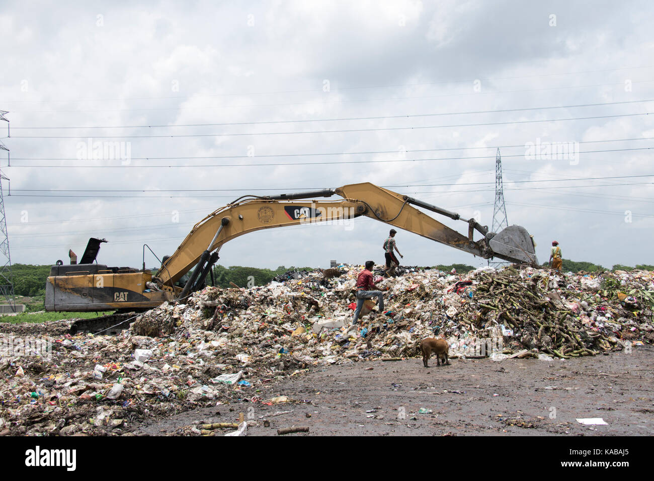 Life in garbage Stock Photo - Alamy
