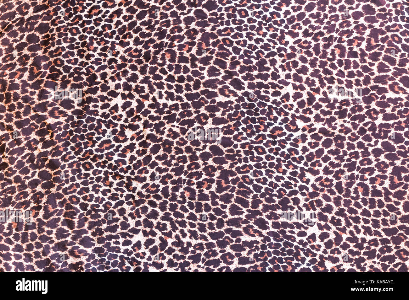 Animal fur pattern hi-res stock photography and images - Alamy