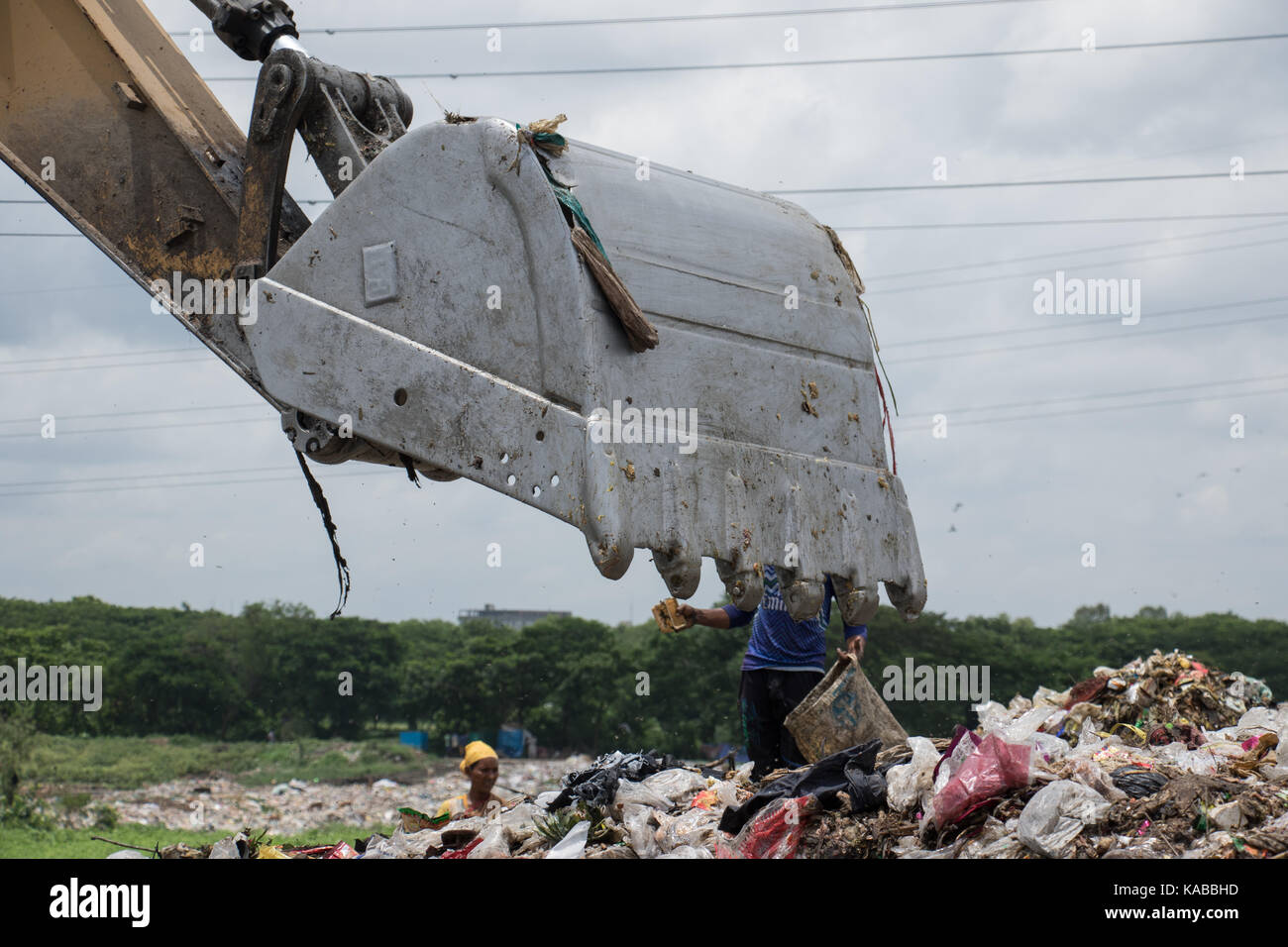 Life in garbage Stock Photo - Alamy
