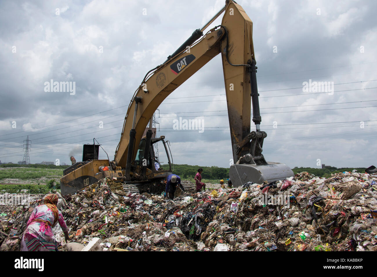 Life in garbage Stock Photo - Alamy