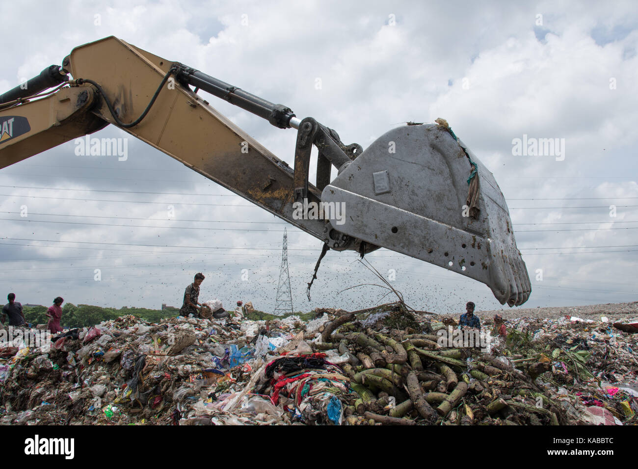 Life in garbage Stock Photo - Alamy