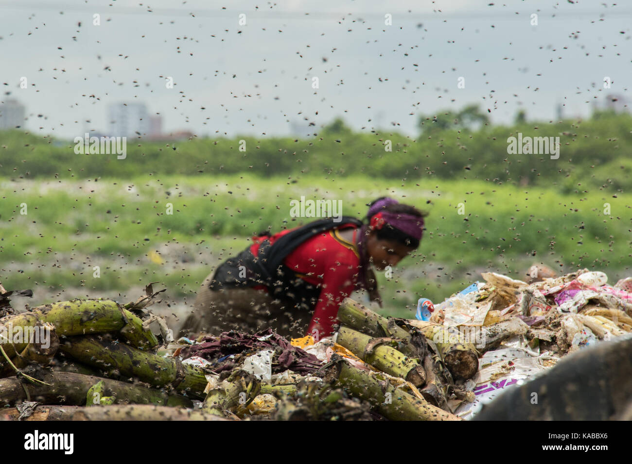 Life in garbage Stock Photo - Alamy