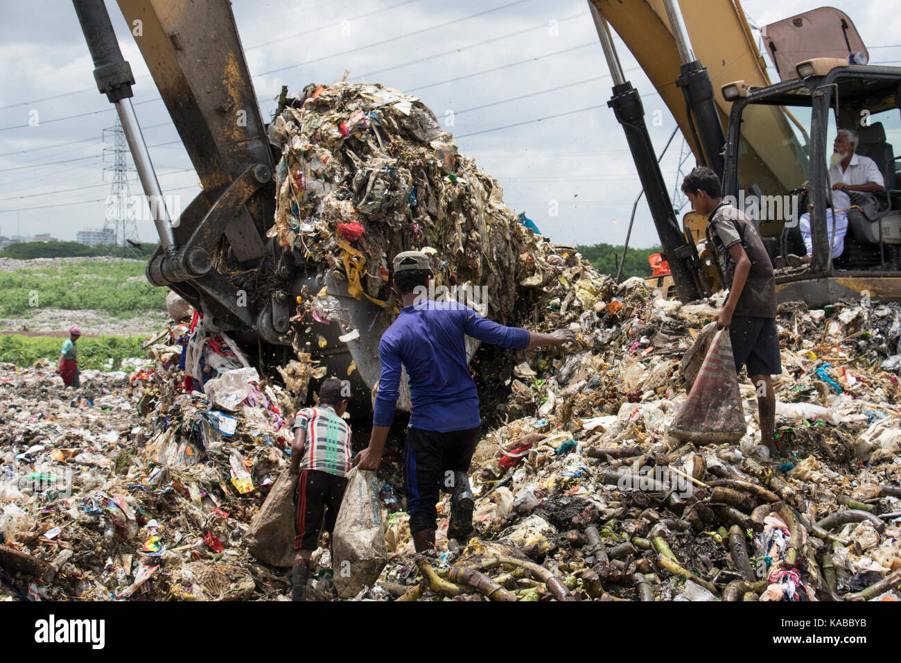 Life in garbage Stock Photo - Alamy
