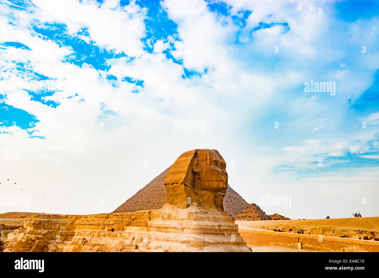 The sphinx in Cairo, Egypt Stock Photo - Alamy