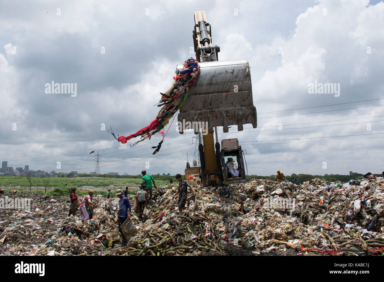 Life in garbage Stock Photo - Alamy