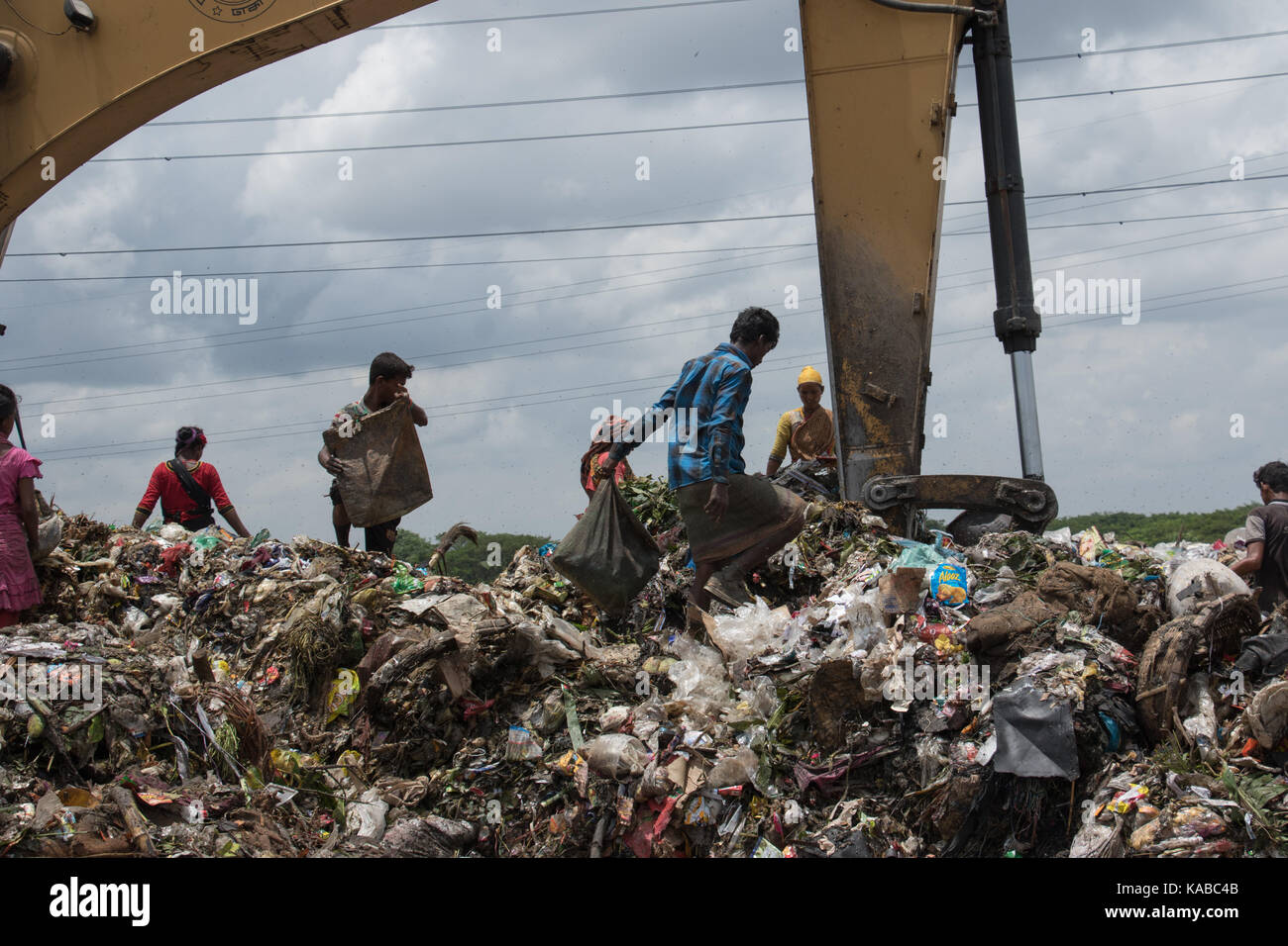 Life in garbage Stock Photo - Alamy