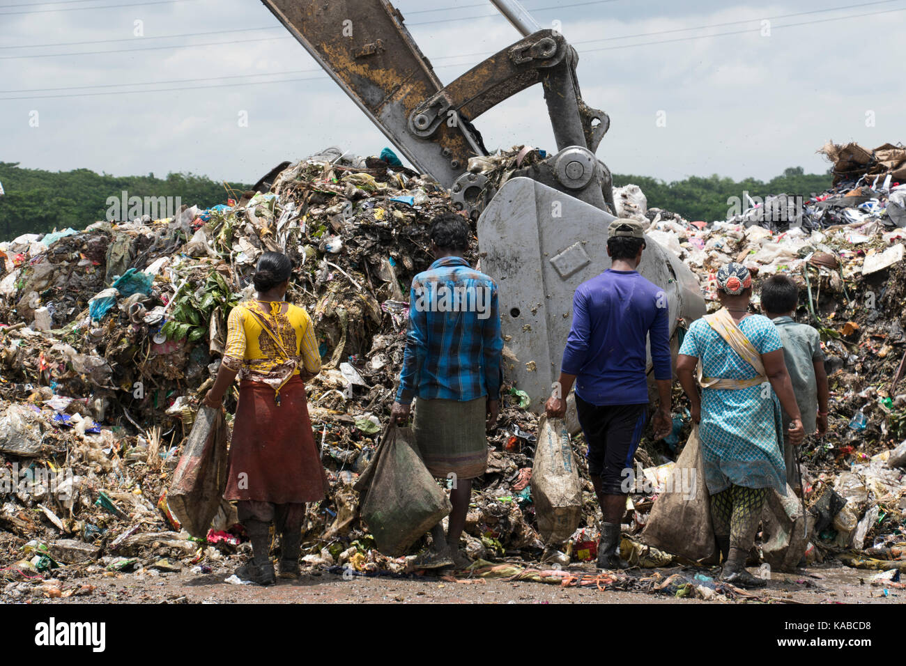 Life in garbage Stock Photo - Alamy