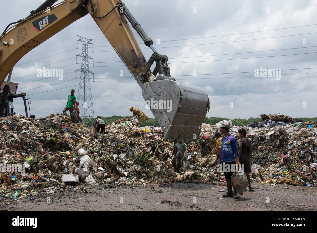 Life in garbage Stock Photo - Alamy