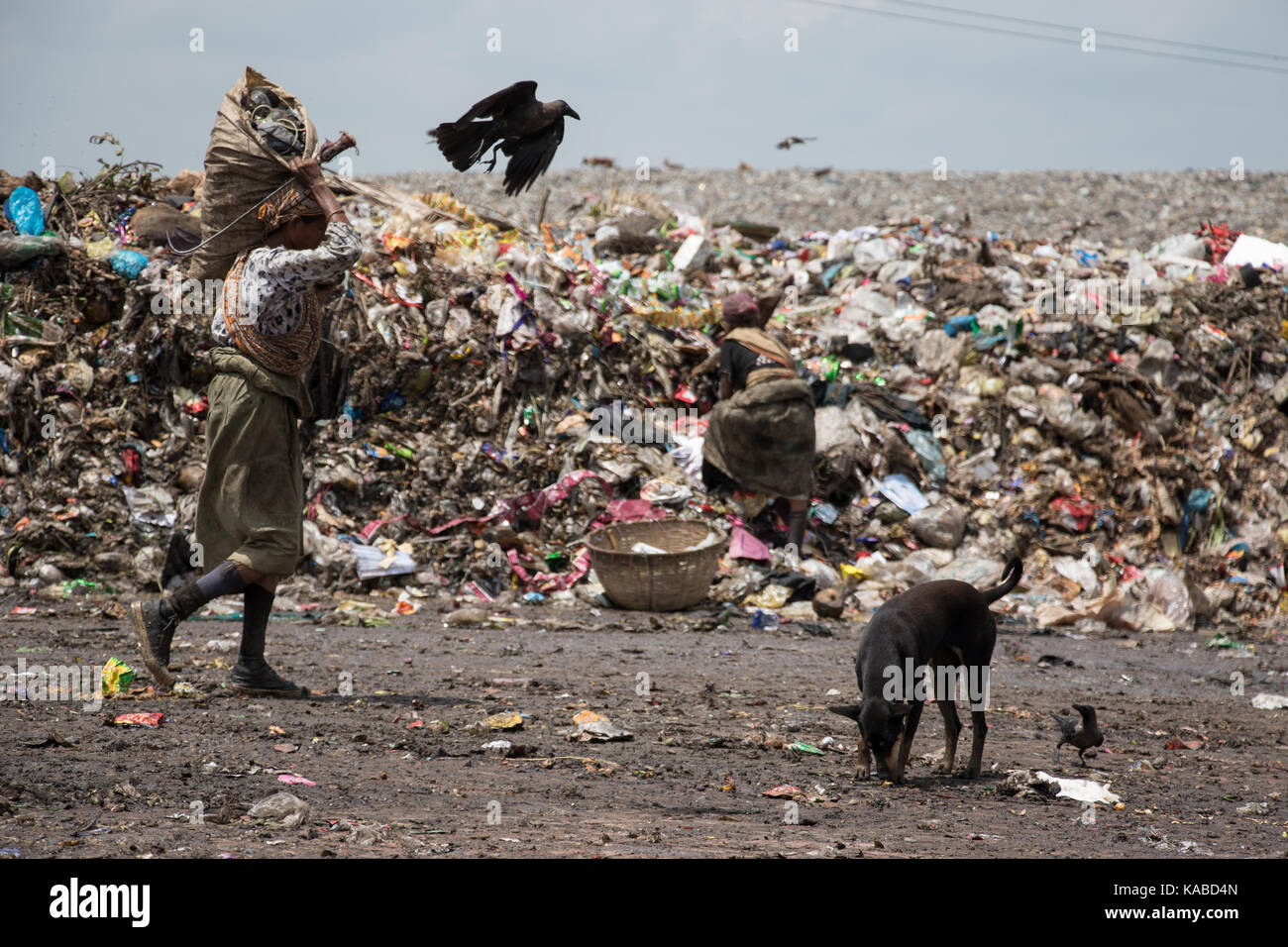 Life in garbage Stock Photo - Alamy