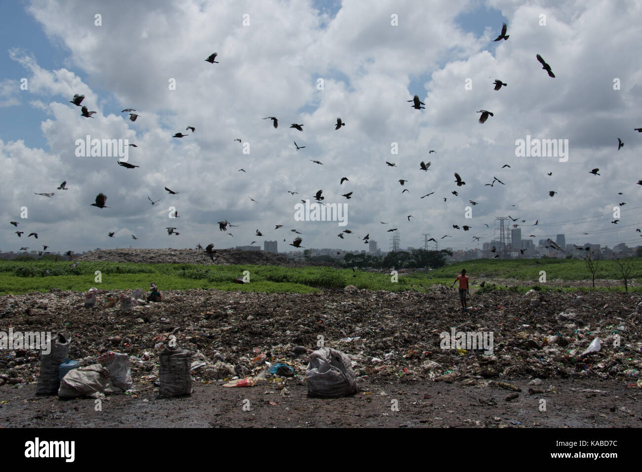 Life in garbage Stock Photo - Alamy