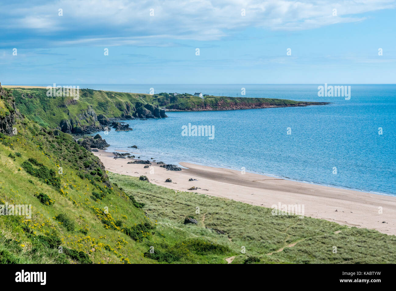 Headland at St. Cyrus beach Stock Photo - Alamy