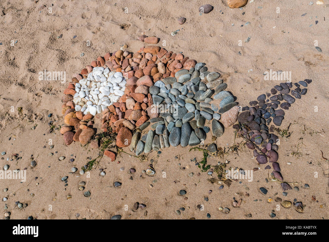 Fish design made from stones on a beach Stock Photo - Alamy