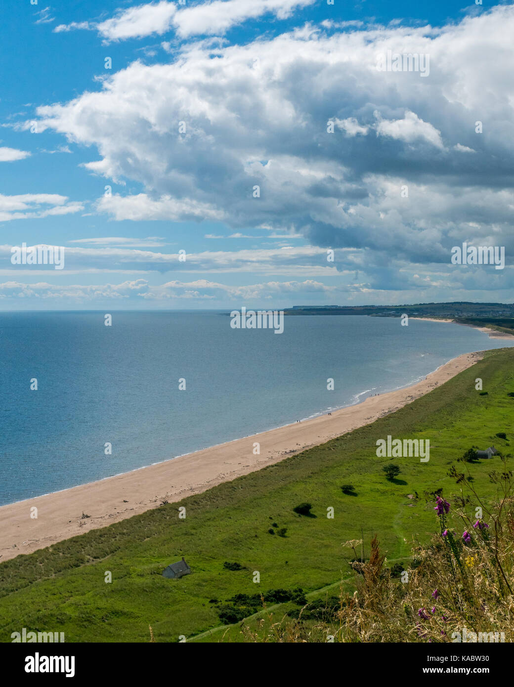 Montrose Bay High Resolution Stock Photography and Images - Alamy