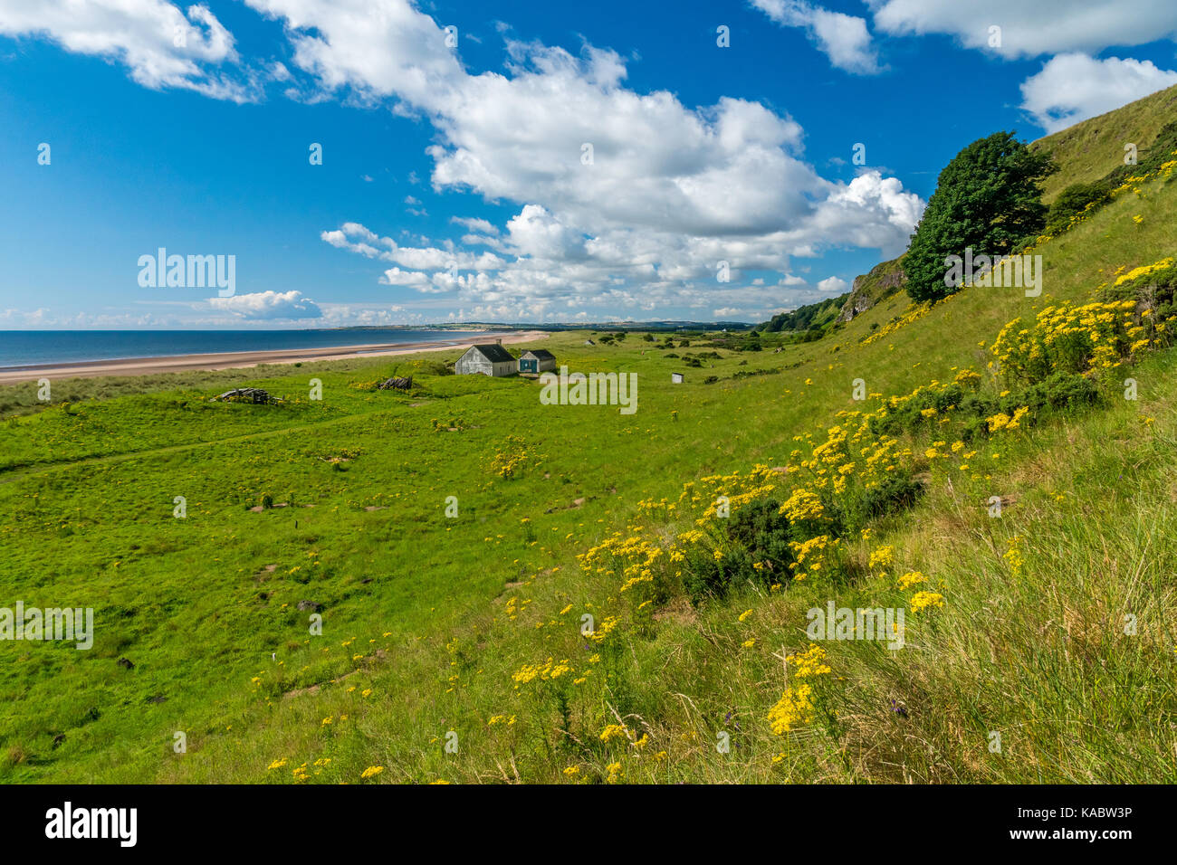 Cyrus clouds hi-res stock photography and images - Alamy