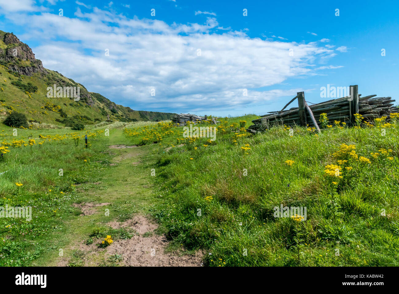 St. Cyrus dunes and path below the cliffs Stock Photo - Alamy