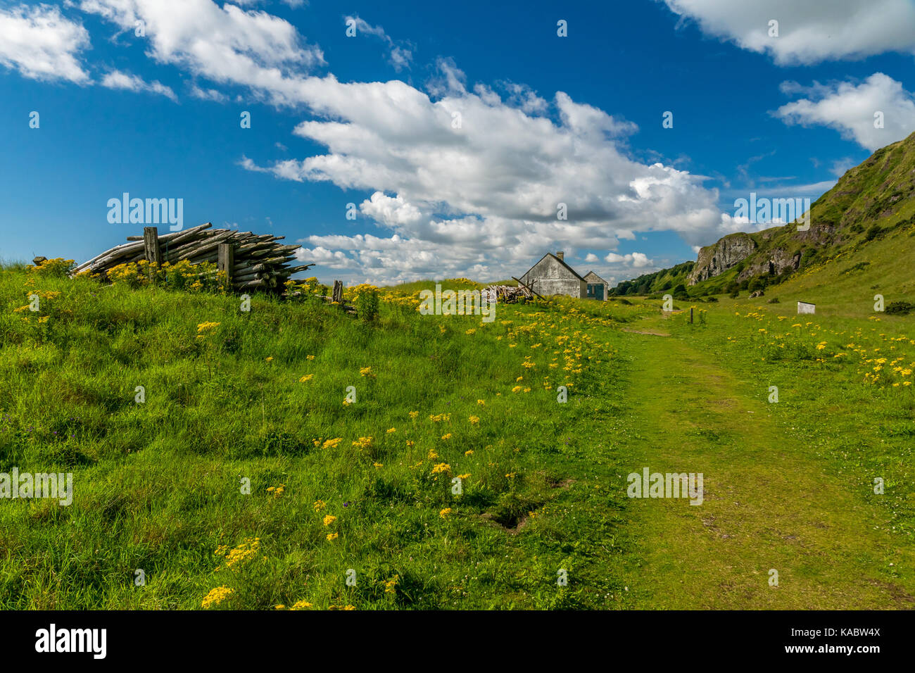 St. Cyrus dunes and cliffs Stock Photo - Alamy