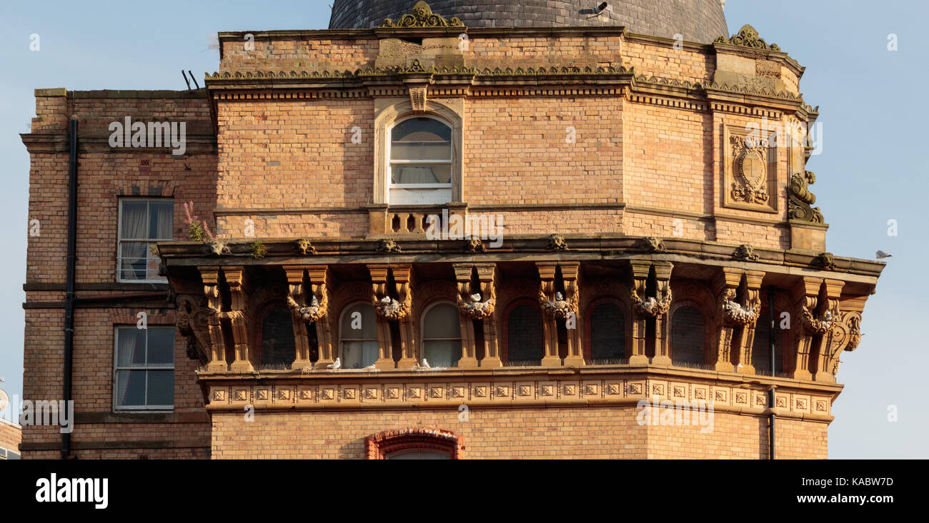 Seagulls nesting in the eaves of Scarborough's Grand Hotel, Scarborough ...