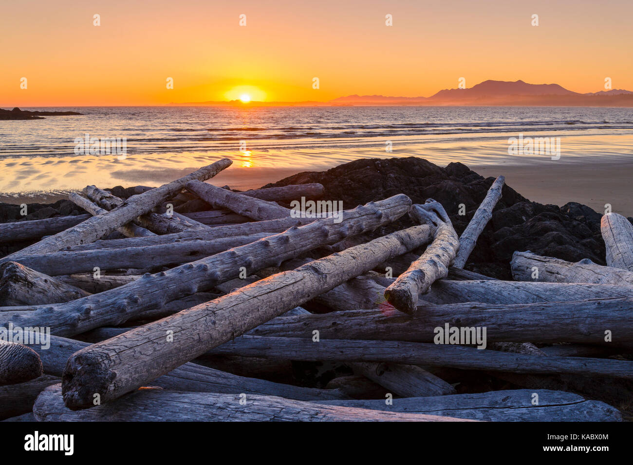 Pacific Rim National Park Reserve Stock Photos & Pacific Rim National ...