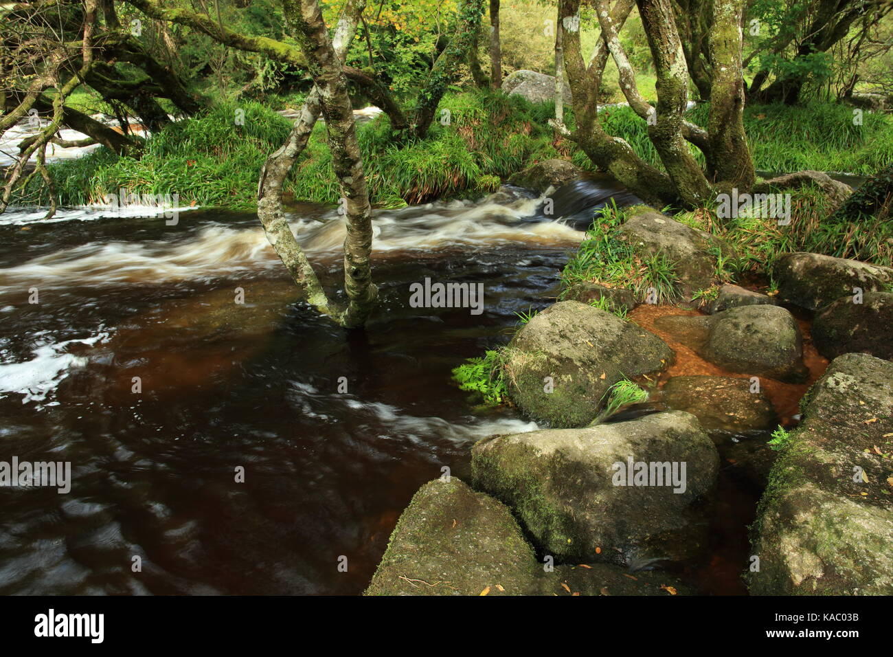 River Dart at Hexworthy bridge, Dartmoor, Devon, England, UK Stock ...