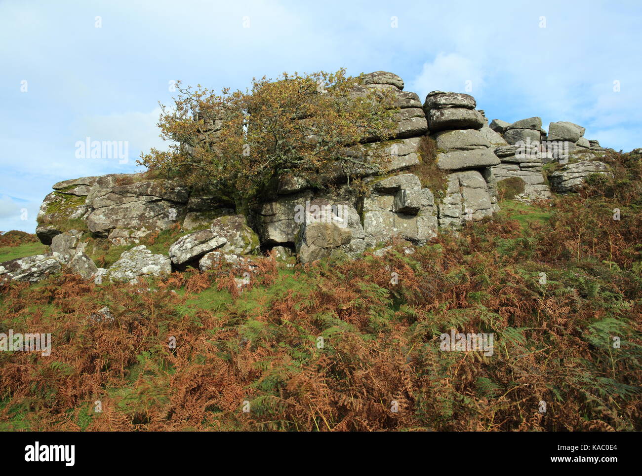 Bonehill rocks dartmoor national park hi-res stock photography and ...