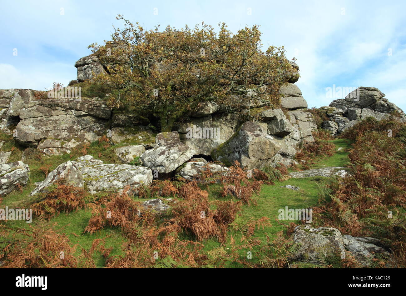 Bonehill rocks dartmoor national park hi-res stock photography and ...