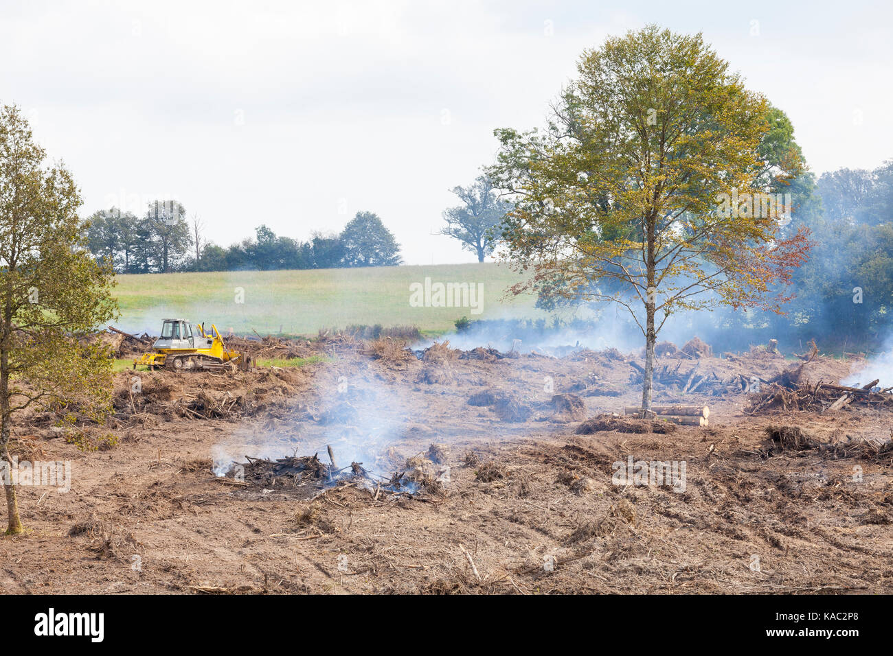 Farmer clearing and burning large tracts of natural woodland to provide ...