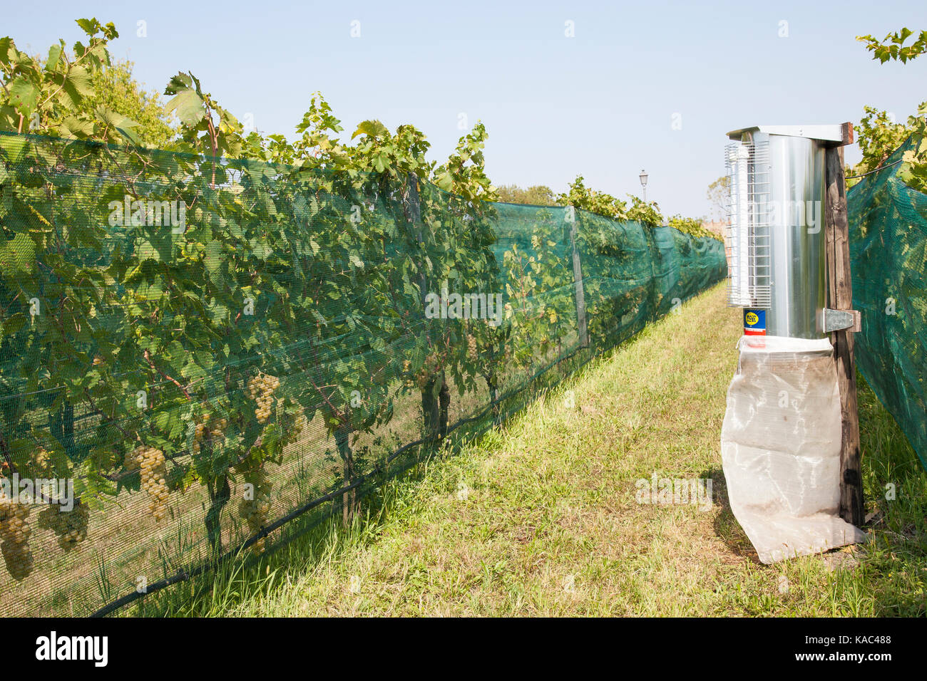 Killer nets hi-res stock photography and images - Alamy