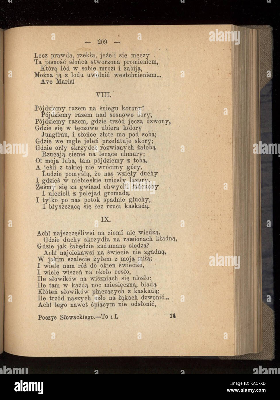 Slowacki Pisma W Szwajcaryi 06 Stock Photo - Alamy