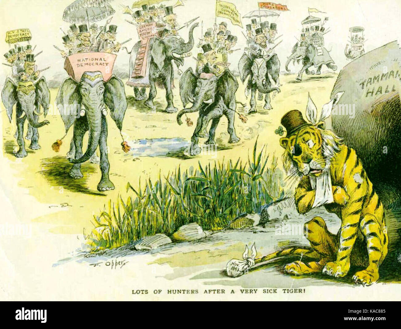 Tammany Tiger Hunted 1893 Stock Photo - Alamy