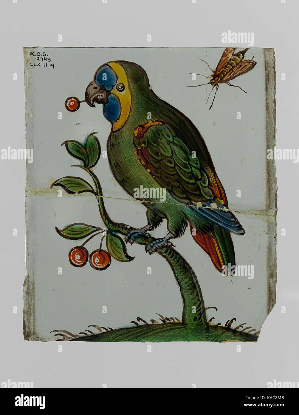 En insekt hi-res stock photography and images - Alamy