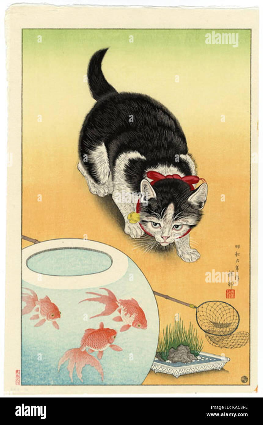 Shoson Cat and Goldfish Orange Stock Photo - Alamy