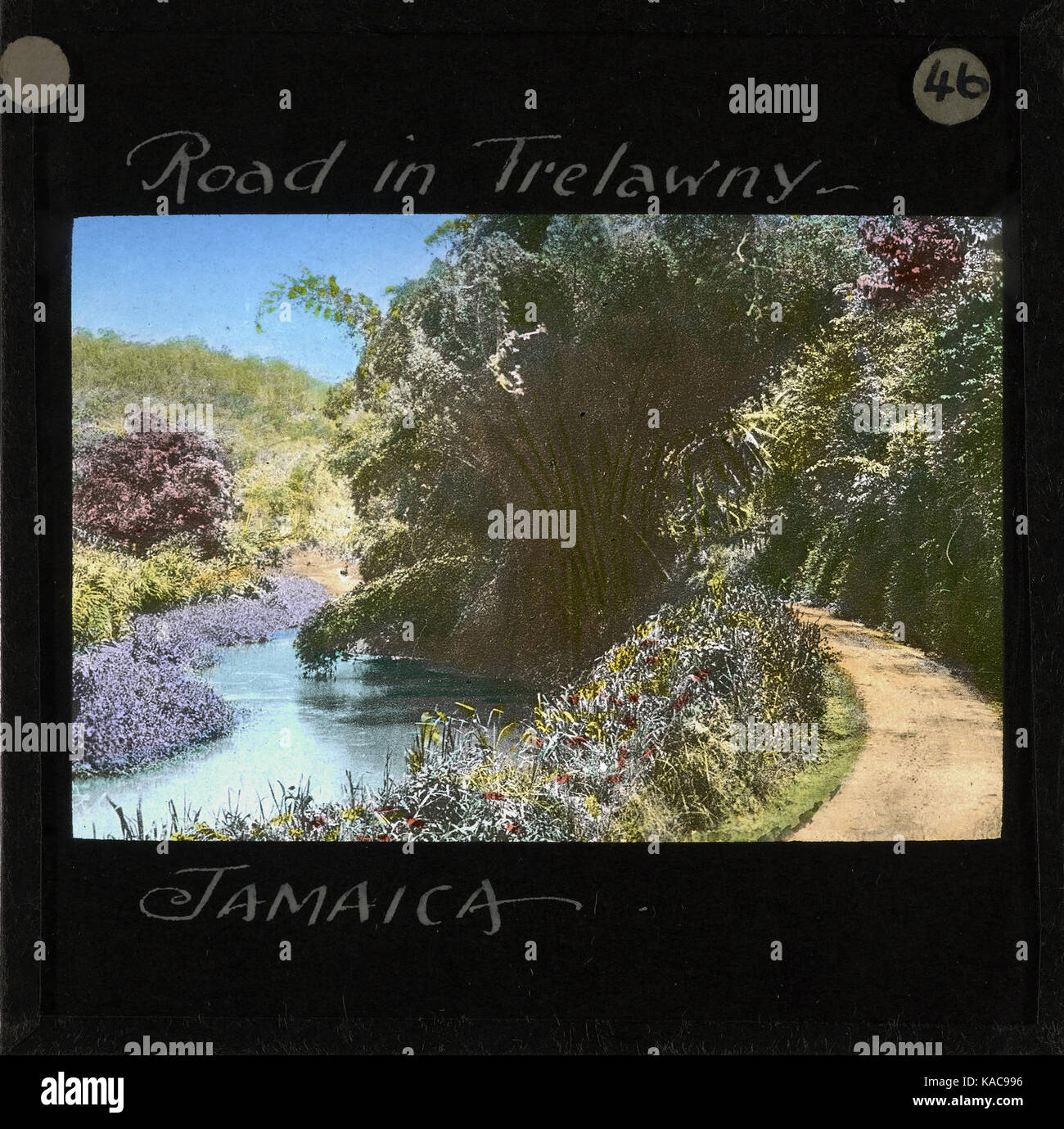 Road in Trelawny, Jamaica, ca.1875 ca.1940 (imp cswc GB 237 CSWC47 LS11 ...