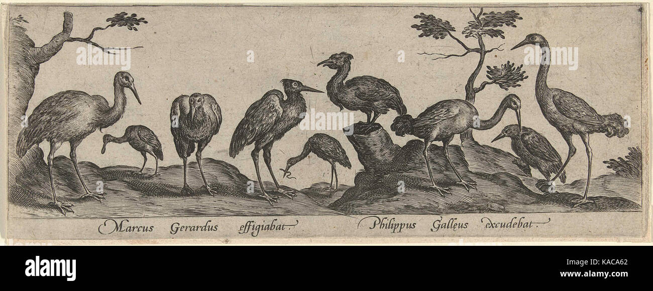 Steltlopers hi-res stock photography and images - Alamy