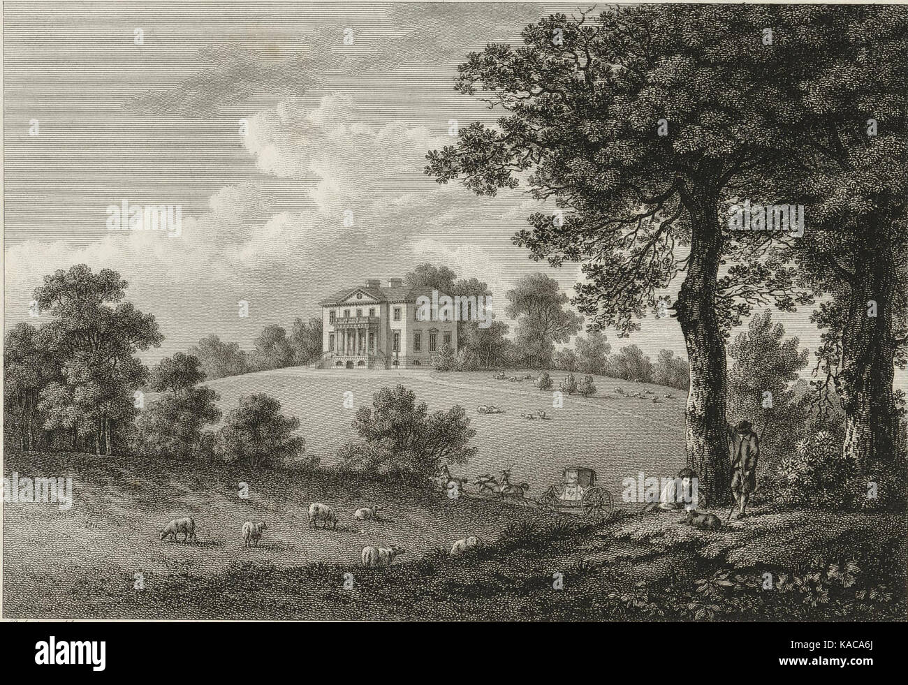 British landed gentry hi-res stock photography and images - Alamy