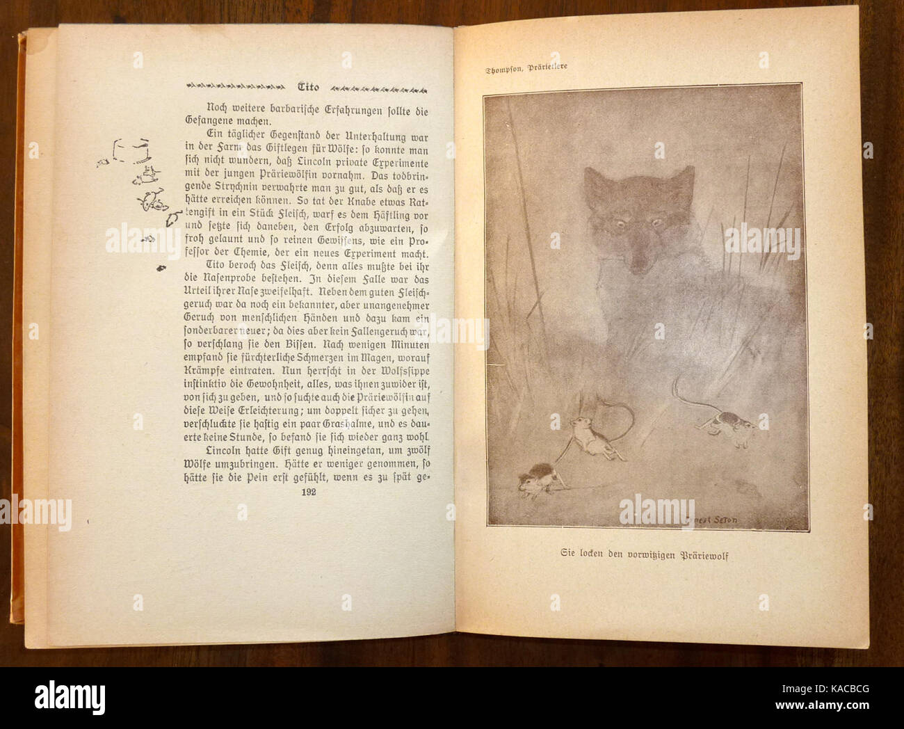 Ernest seton thompson hi-res stock photography and images - Alamy