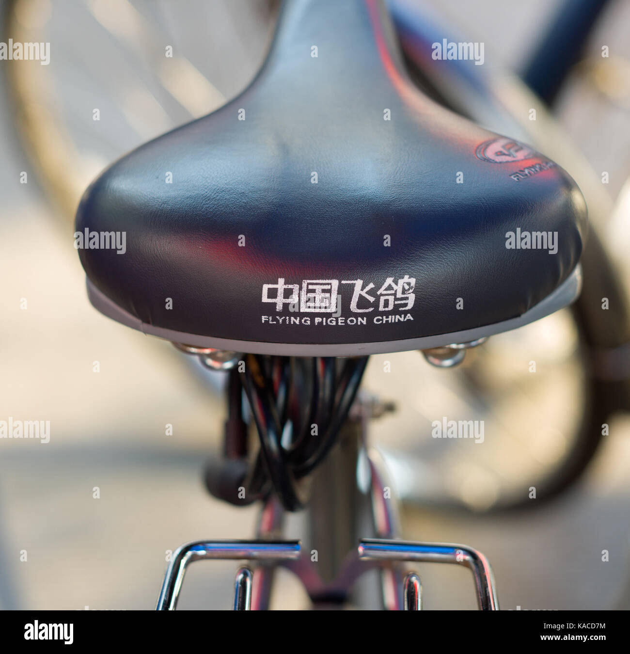 Flying Pigeon Bicycle