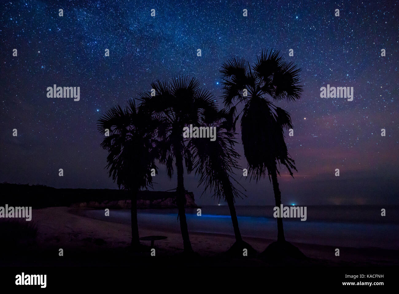 Ambriz High Resolution Stock Photography and Images - Alamy