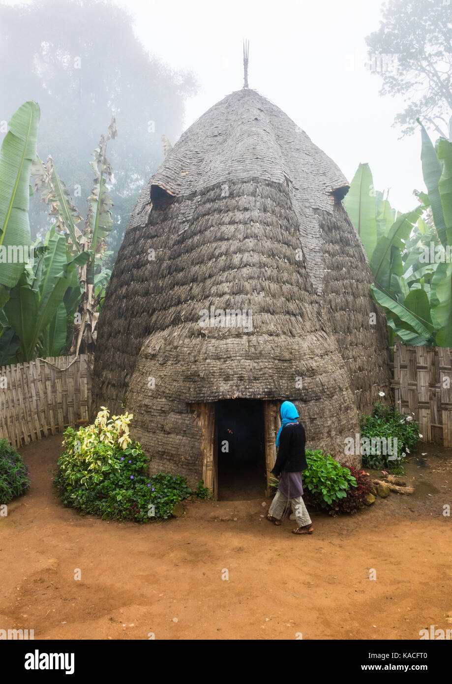 Traditional Dorze house made of bamboo and enset leaves, Gamole ...