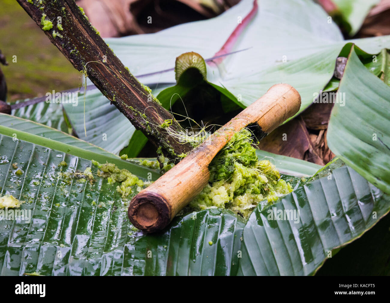 Dorze tribe hi-res stock photography and images - Alamy