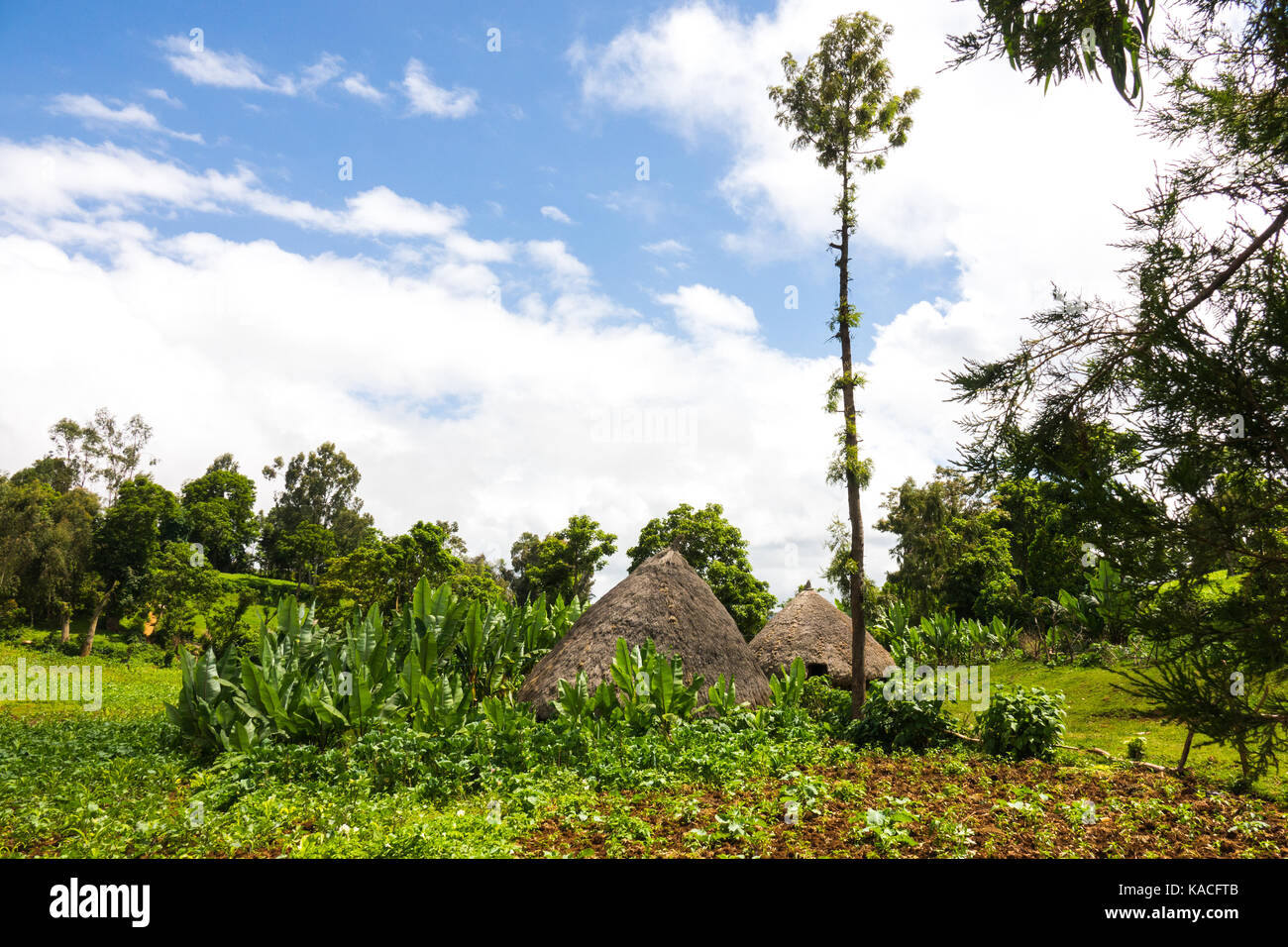 Traditional village and scenery in Ganta, Ethiopia Stock Photo - Alamy