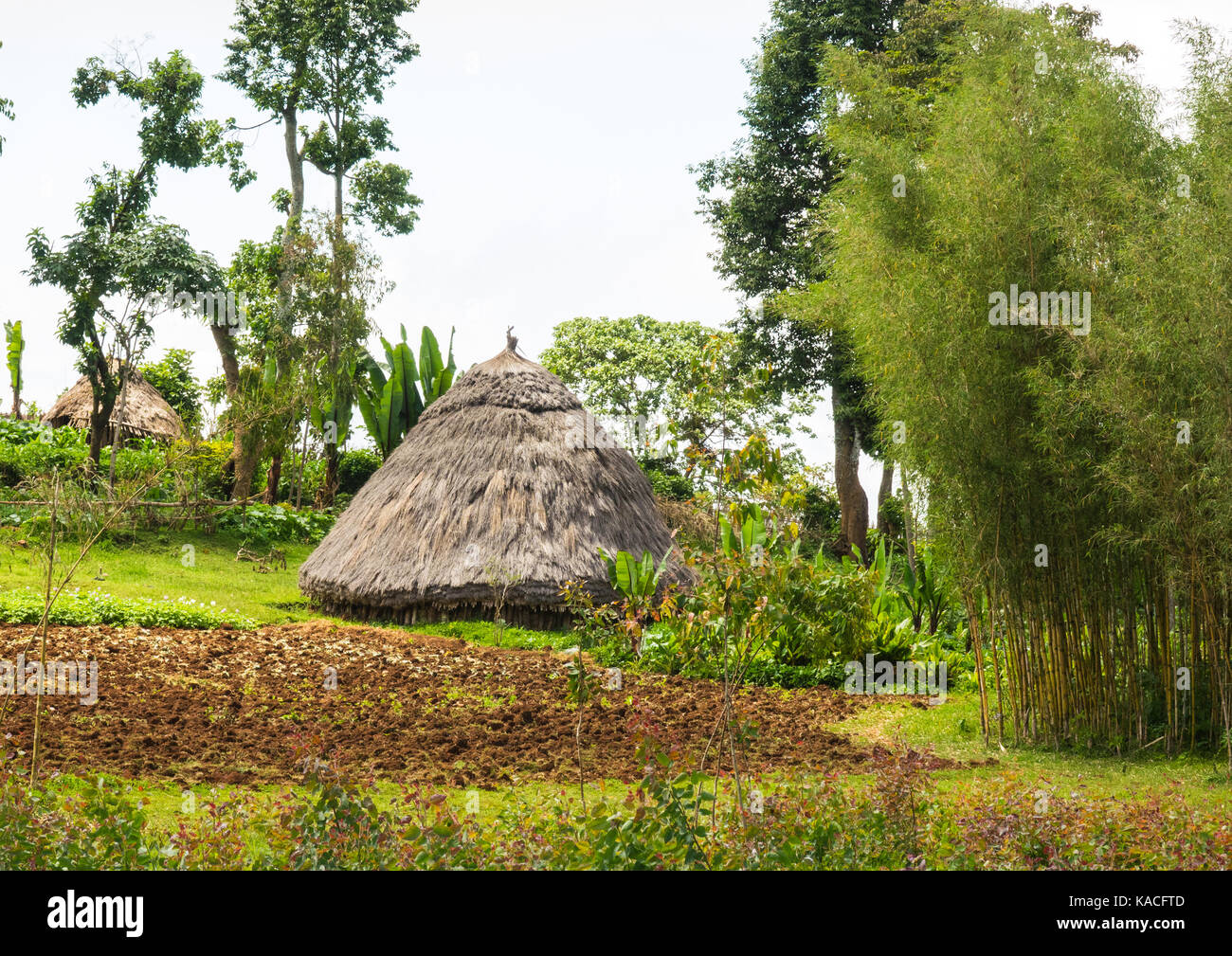 Traditional village and scenery in Ganta, Ethiopia Stock Photo - Alamy