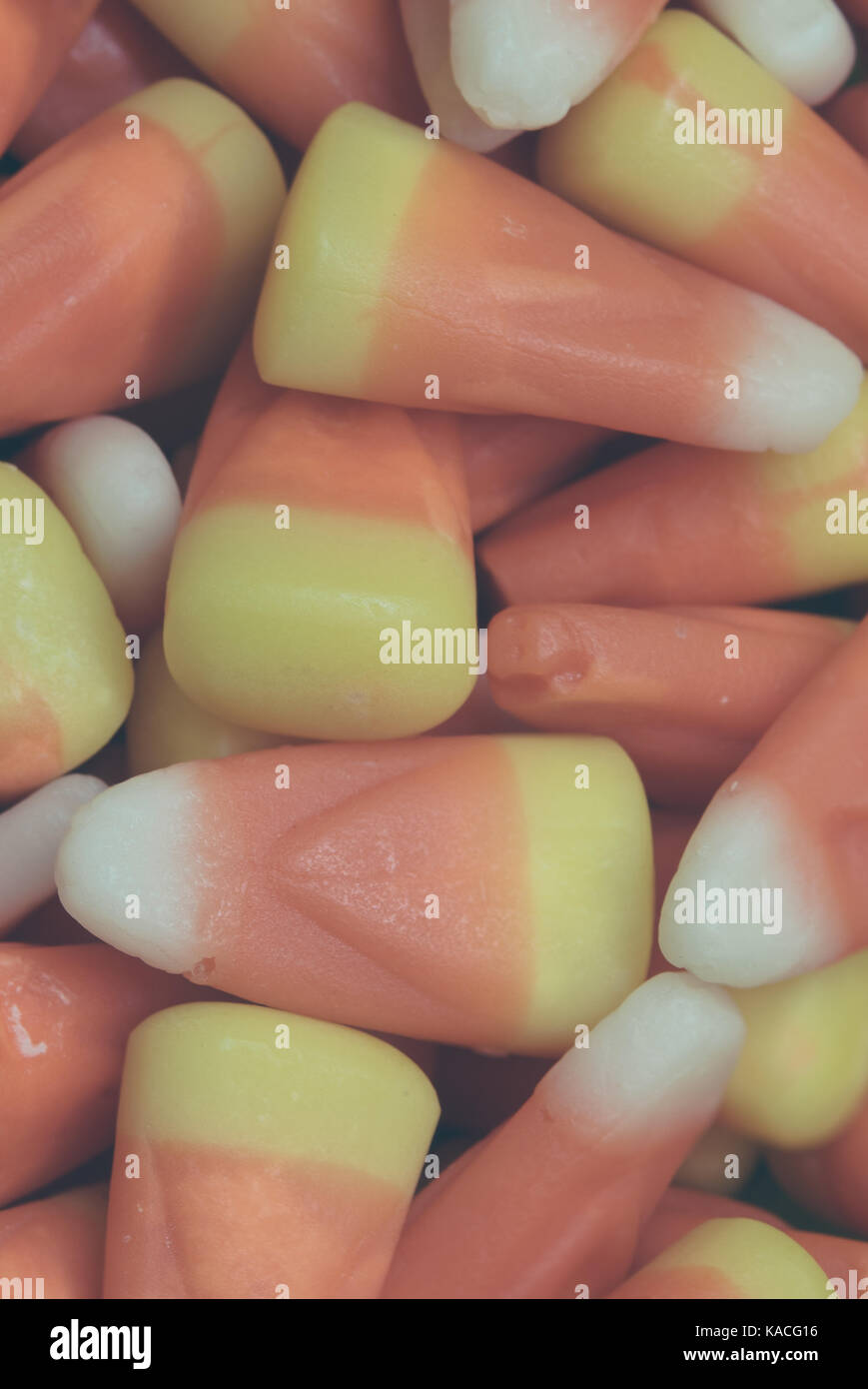 Matte Candy Corn Portrait Stock Photo - Alamy