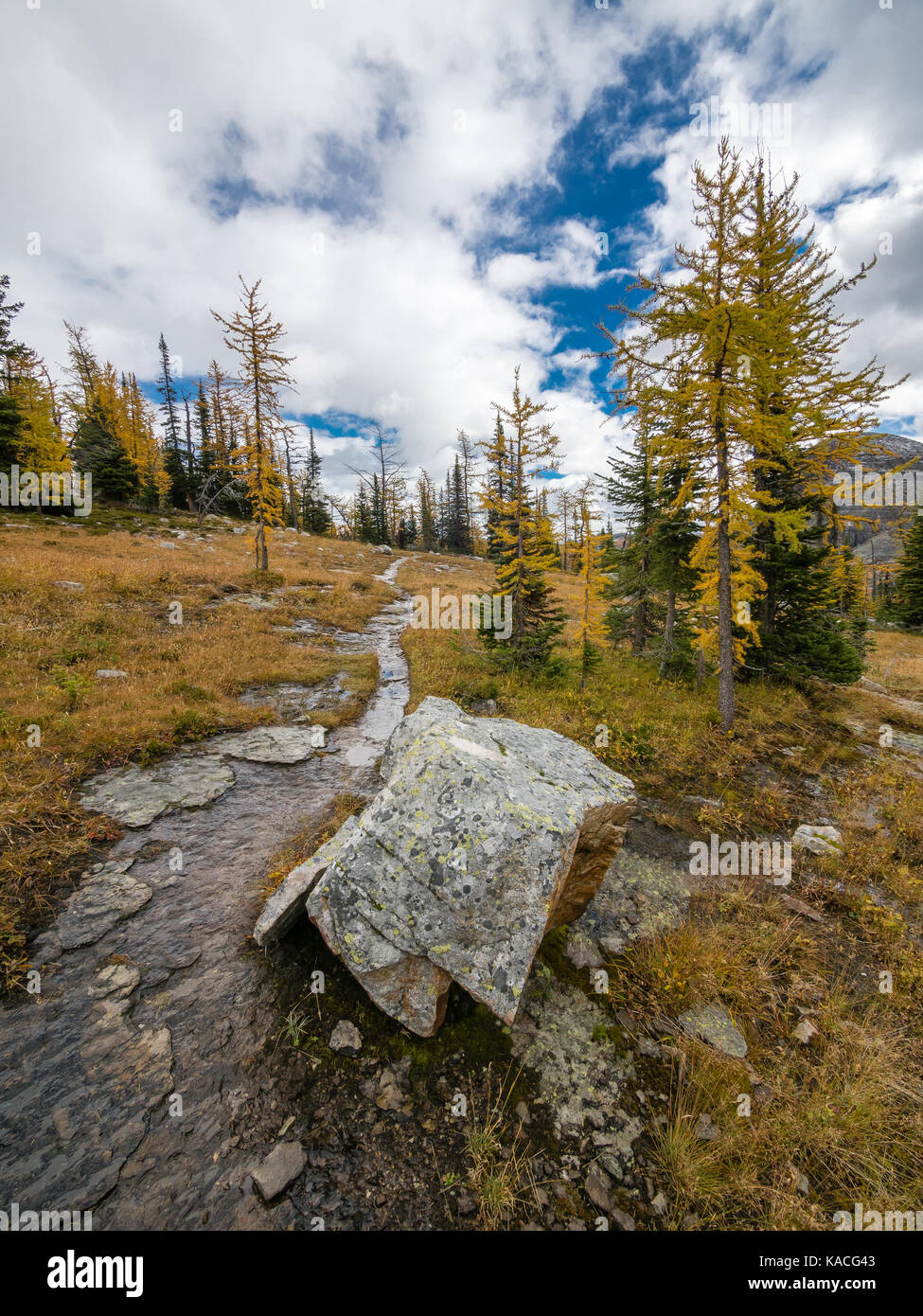 Fall Colors and a Hiking Trail Stock Photo - Alamy