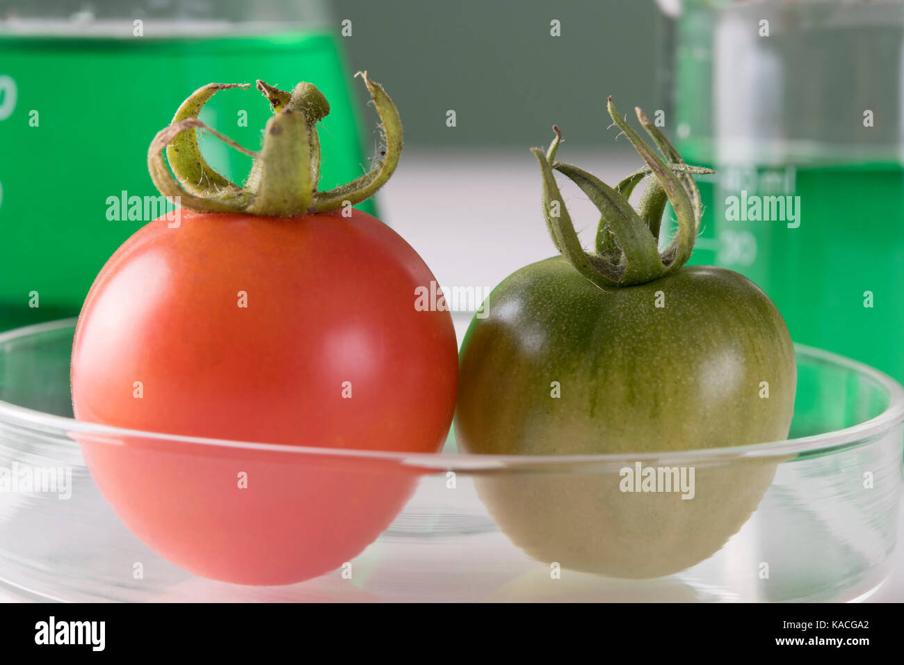 Tomato science hi-res stock photography and images - Alamy