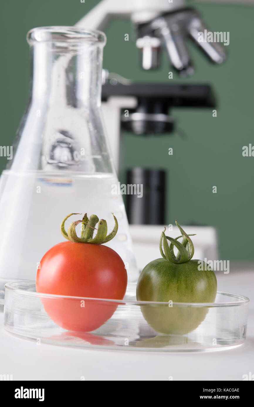 Food research hi-res stock photography and images - Alamy
