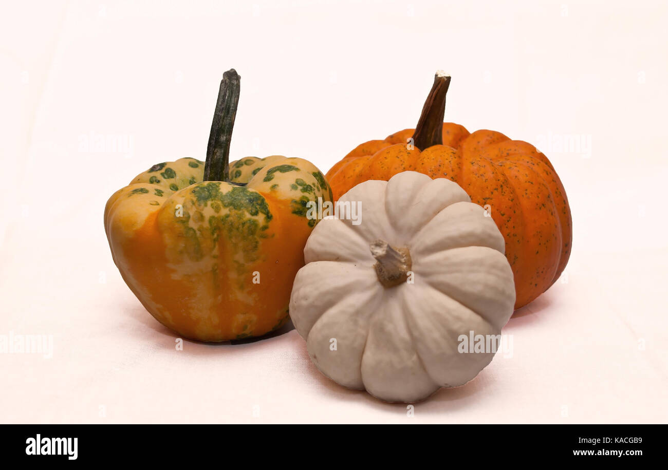 Three different pumpkins, a traditional orange, a white and a multi ...
