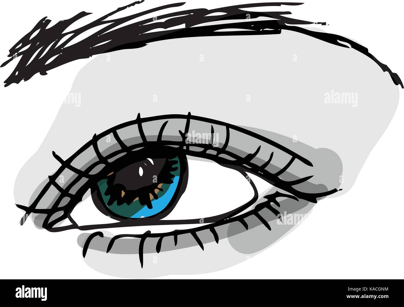 Female eye sketch illustration Stock Vector Image & Art - Alamy