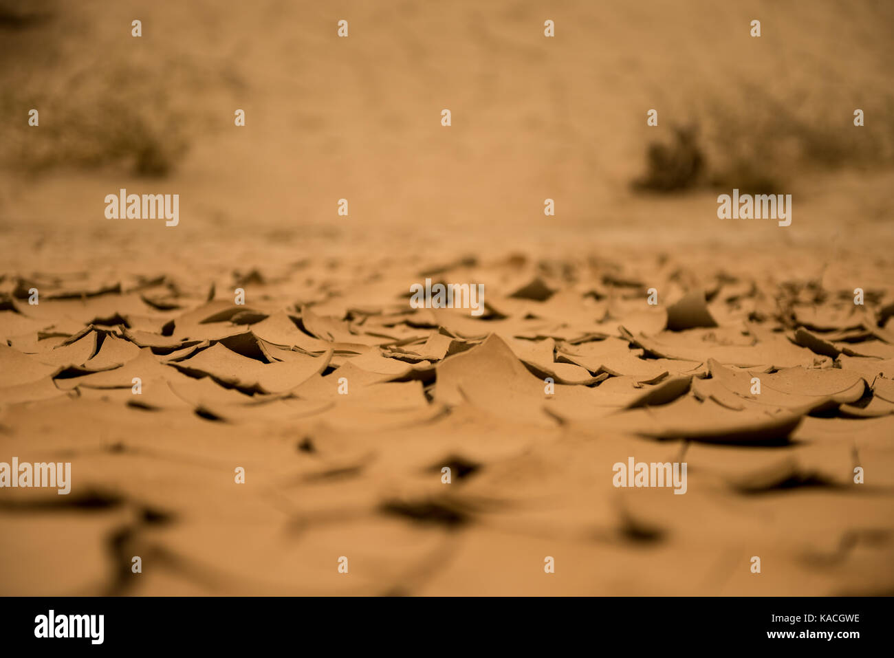 áfrica seca hi-res stock photography and images - Alamy